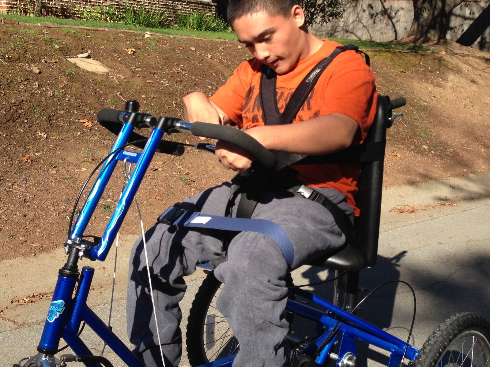 Freedom Excursion Tandem Tricycle