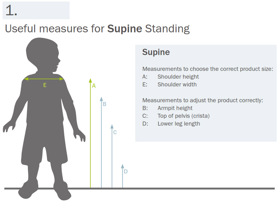 Caribou Prone and Supine Standing Frame - FREE Shipping