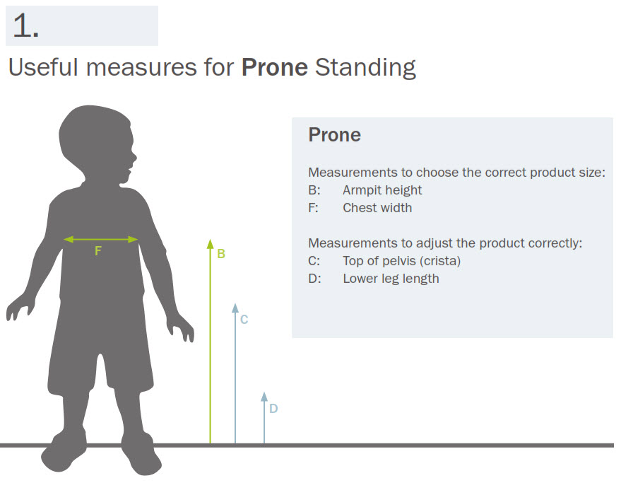 Caribou Prone and Supine Standing Frame - FREE Shipping