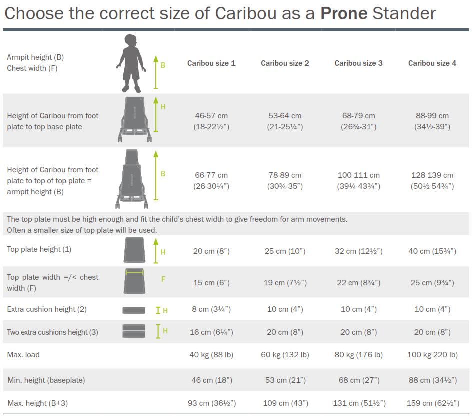 Caribou Prone and Supine Standing Frame - FREE Shipping