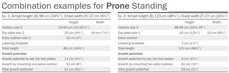 Caribou Prone and Supine Standing Frame - FREE Shipping