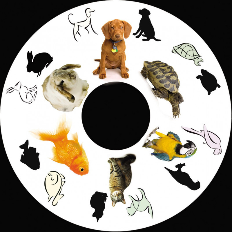 SNAP Effects Wheel for Multi-Sensory Rooms