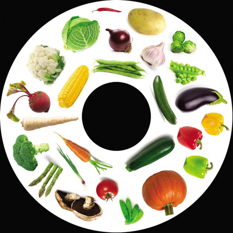 SNAP Effects Wheel for Multi-Sensory Rooms