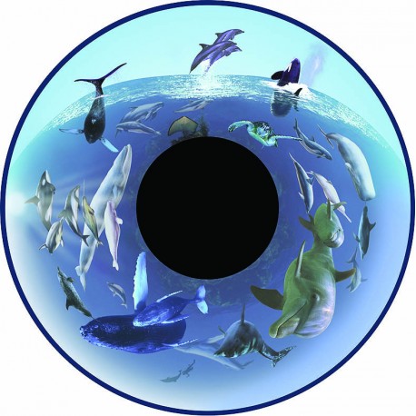 Effects Wheels for Solar Projectors and SNAP Projectors