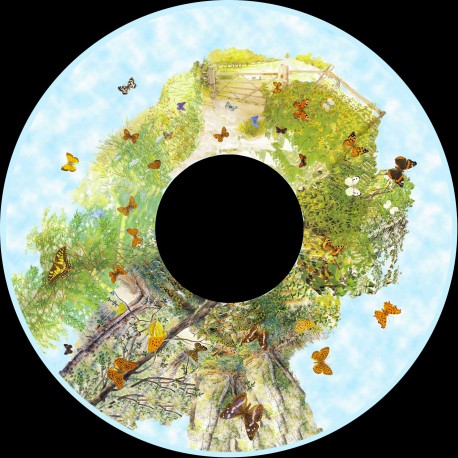 Effects Wheels for Solar Projectors and SNAP Projectors