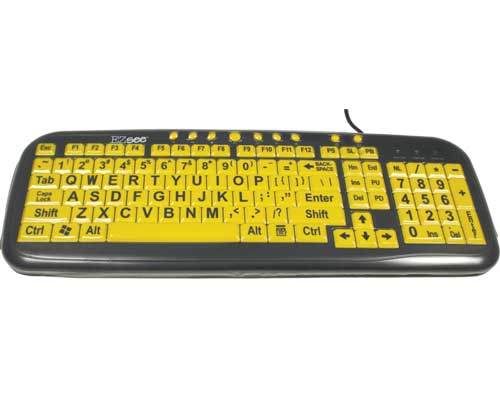 Computer Access Assistive Technology Kit