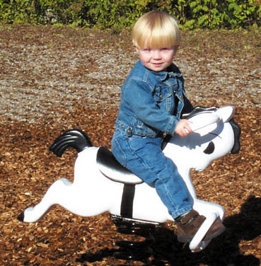 Rocking Spring Riders for Playgrounds - FREE Shipping