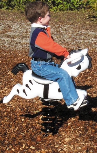 Rocking Spring Riders for Playgrounds - FREE Shipping