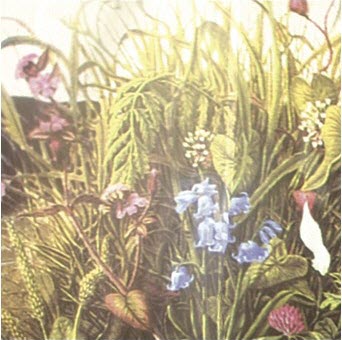 Deluxe Vecta Mobile Multi-Sensory Station