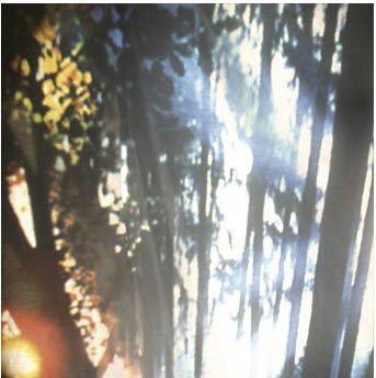 Deluxe Vecta Mobile Multi-Sensory Station