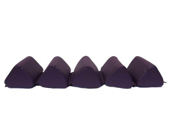 Snugglesaurus - Ultimate Play and Workout Buddy for Kids for Sensory ...