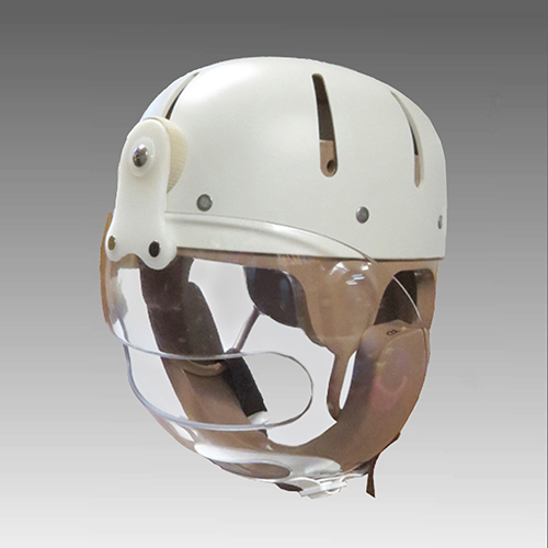 Danmar Hard Shell Helmet with Face Guard