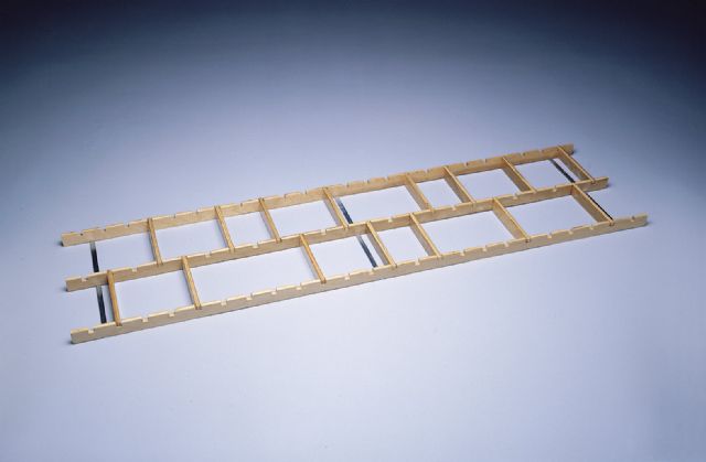 Bailey Foot Placement Agility Ladder - FREE Shipping
