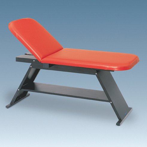 Bailey Manufacturing Physical Therapy Bench with Adjustable Back, Steel ...