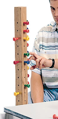 Hausmann Table Mounted Finger Ladder - FREE Shipping