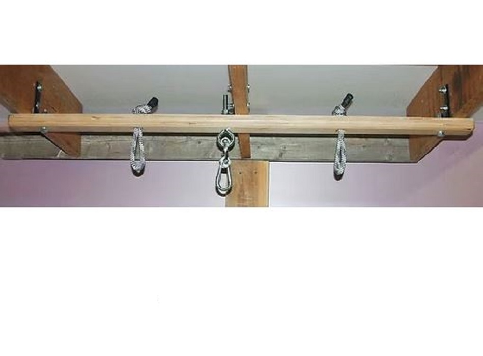 Ceiling Swing Mount Rafter Birch Bar (platform swing not included)