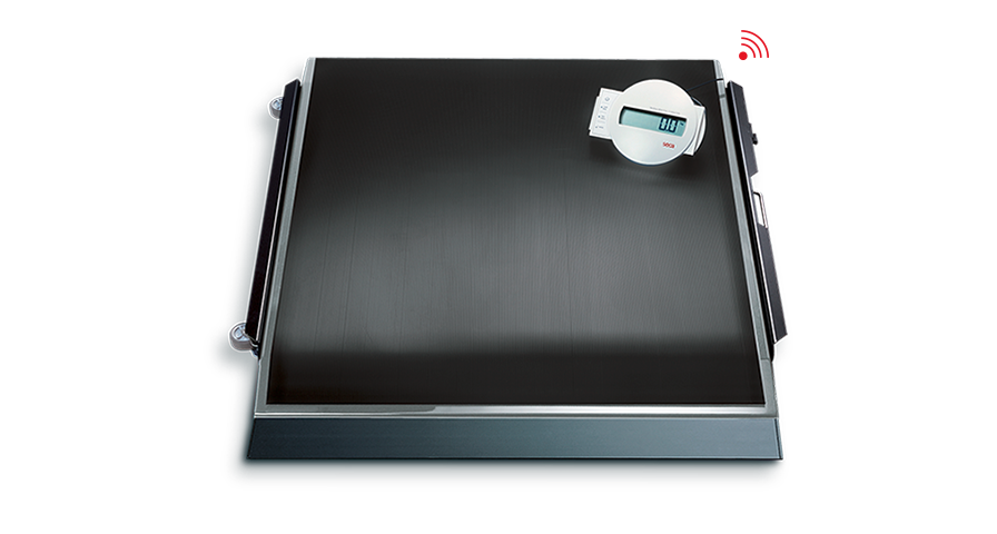 Detecto Body Weight Scale - DR660 Portable Bariatric Scale