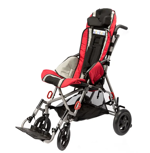 Strive to Be Better: Comparing the Strive Special Needs Stroller and ...