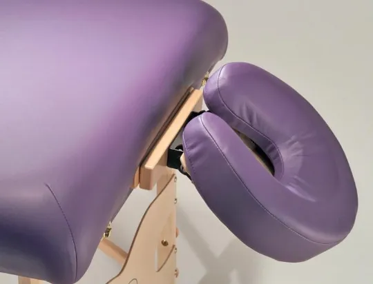 Elegance with Lift Back Electric Massage Table