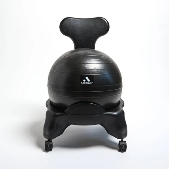 Aeromat Adjustable Yoga Ball Office Chair with Lumbar Support