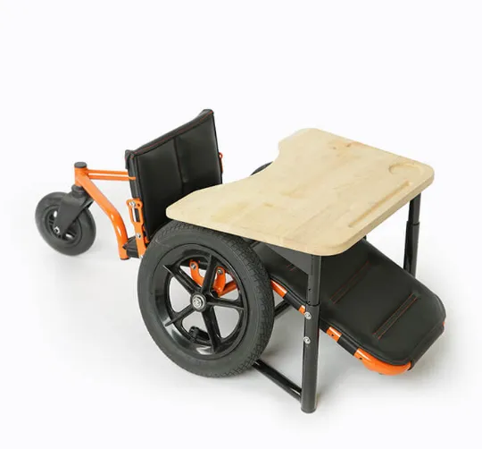 5 in 1 Trike - Low Rider Tricycle Activity Chair for Kids with Special ...