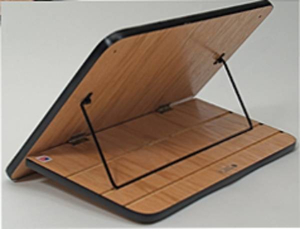 Slant Board Writing Easel for Kids - FREE Shipping