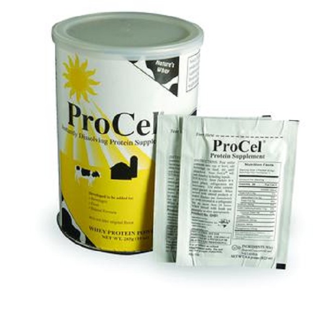ProCel Protein Supplement ON SALE - FREE Shipping