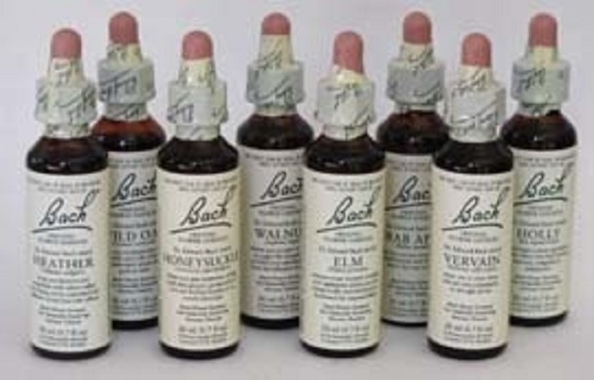 38 Bottle Bach Flower Remedy Kit - FREE Shipping