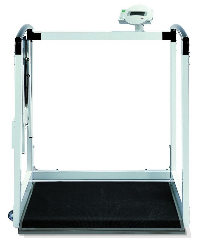 Seca 684 Multi-Function Wheelchair / Handrail Scale with Seat - 800 lb ...