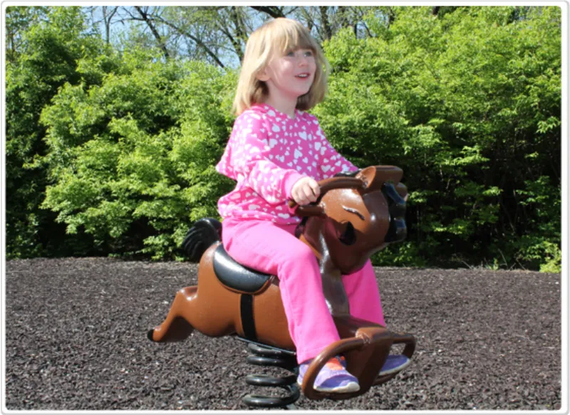 Rocking Spring Riders for Playgrounds - FREE Shipping