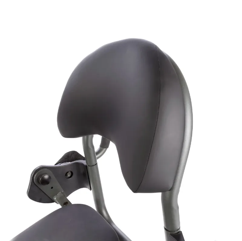 EasyStand Glider Standing Frame System - FREE Shipping