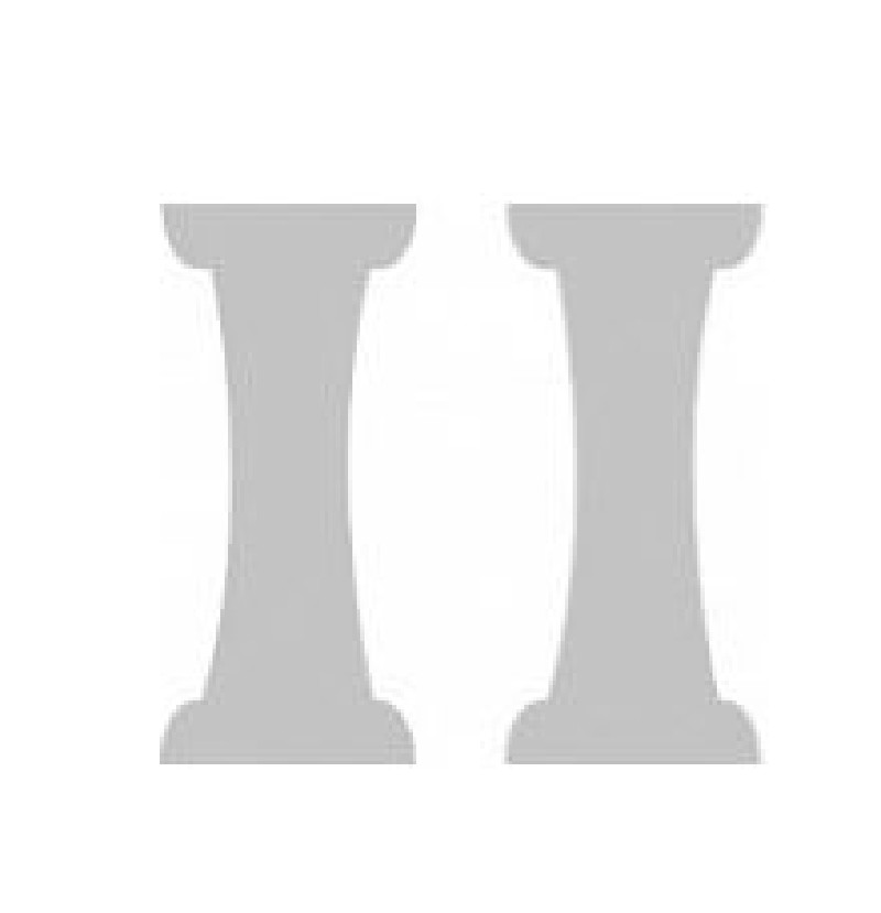 A2-DX Strong Ankle Support Brace