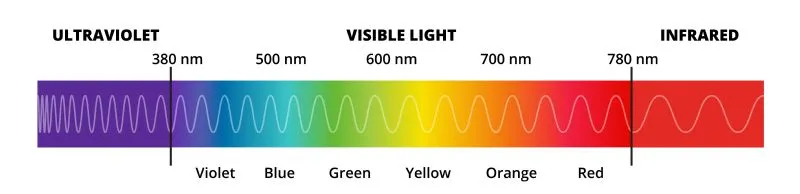 Expert Explains How To Choose A Red Light Therapy Device