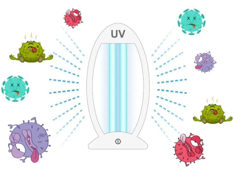 Shine a Light on Cleanliness: The Power of UV-C Disinfection Explained