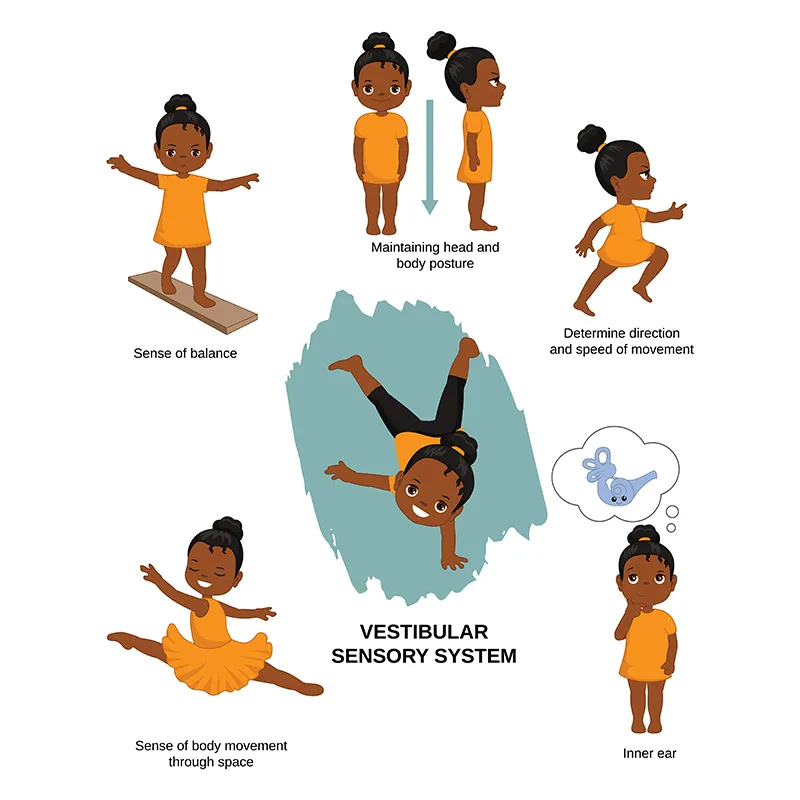 The Sixth (and Seventh) Sense: How to Manage Vestibular and ...