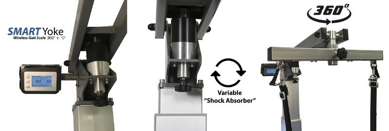 PhysioGait: Unweighted Training for Better Exercise & Recovery